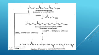 Acetate pathway, acetate Mevalonate pathway/ Isoprenoid pathway ...