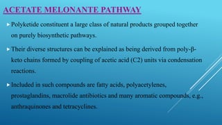 Acetate pathway, acetate Mevalonate pathway/ Isoprenoid pathway ...