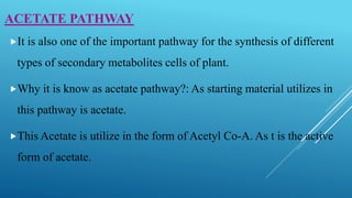 Acetate pathway, acetate Mevalonate pathway/ Isoprenoid pathway ...