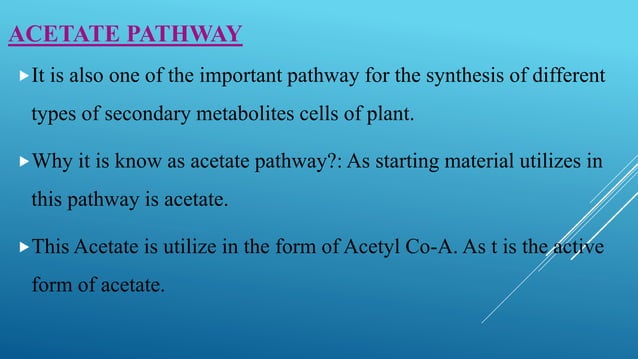 Acetate pathway, acetate Mevalonate pathway/ Isoprenoid pathway ...