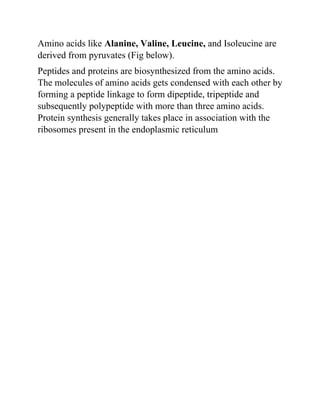 Acetate pathway, shikimic acid pathway, amino acids pathway converted ...