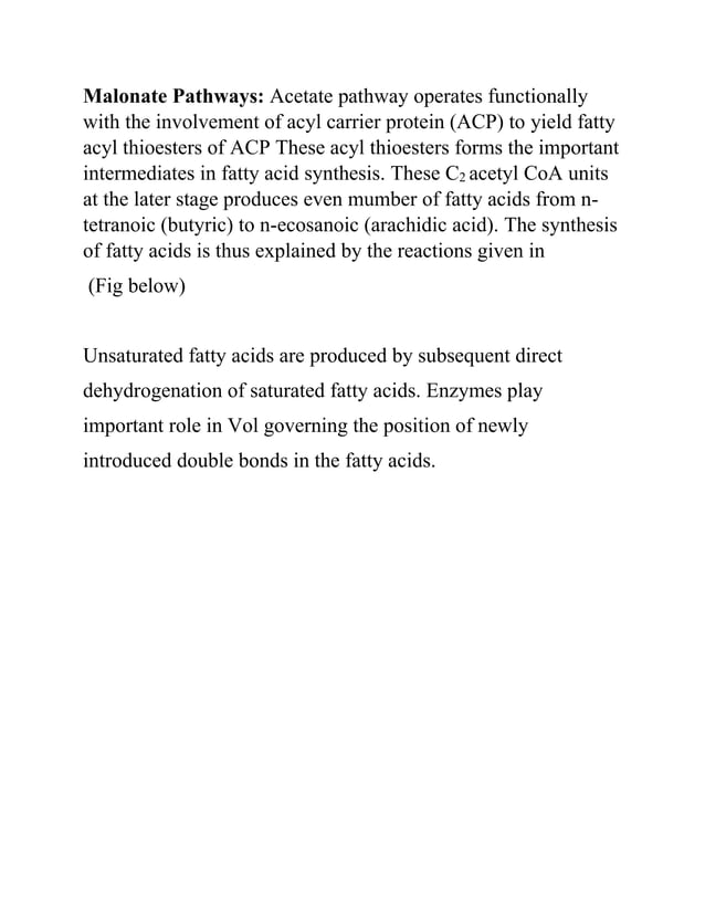 Acetate pathway, shikimic acid pathway, amino acids pathway converted ...