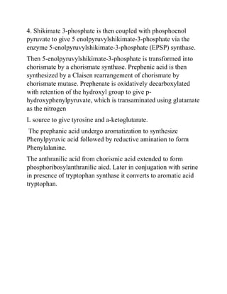 Acetate pathway, shikimic acid pathway, amino acids pathway converted ...