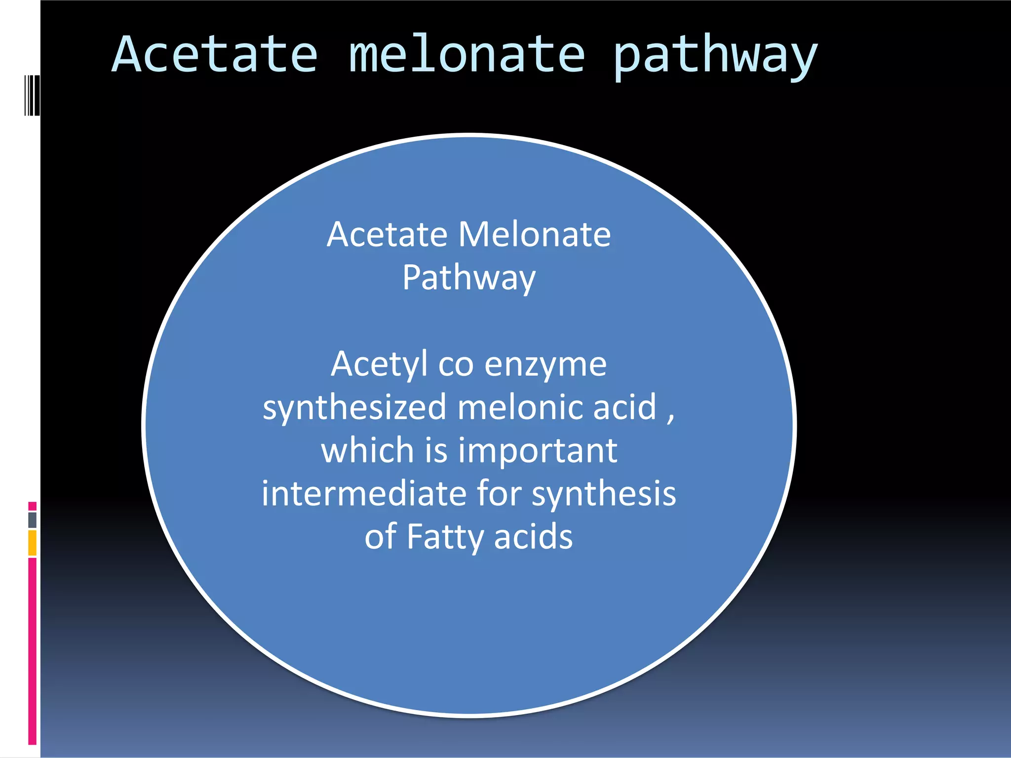 Metabolic pathways: Acetate pathway -Mevalonate and melonate | PDF