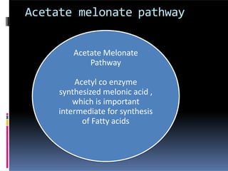 Metabolic pathways: Acetate pathway -Mevalonate and melonate | PDF