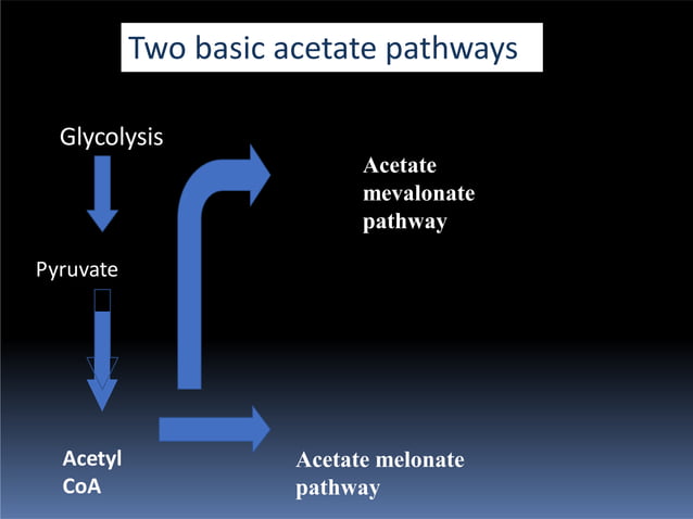 Metabolic pathways: Acetate pathway -Mevalonate and melonate | PDF ...
