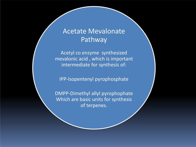 Metabolic pathways: Acetate pathway -Mevalonate and melonate | PDF ...