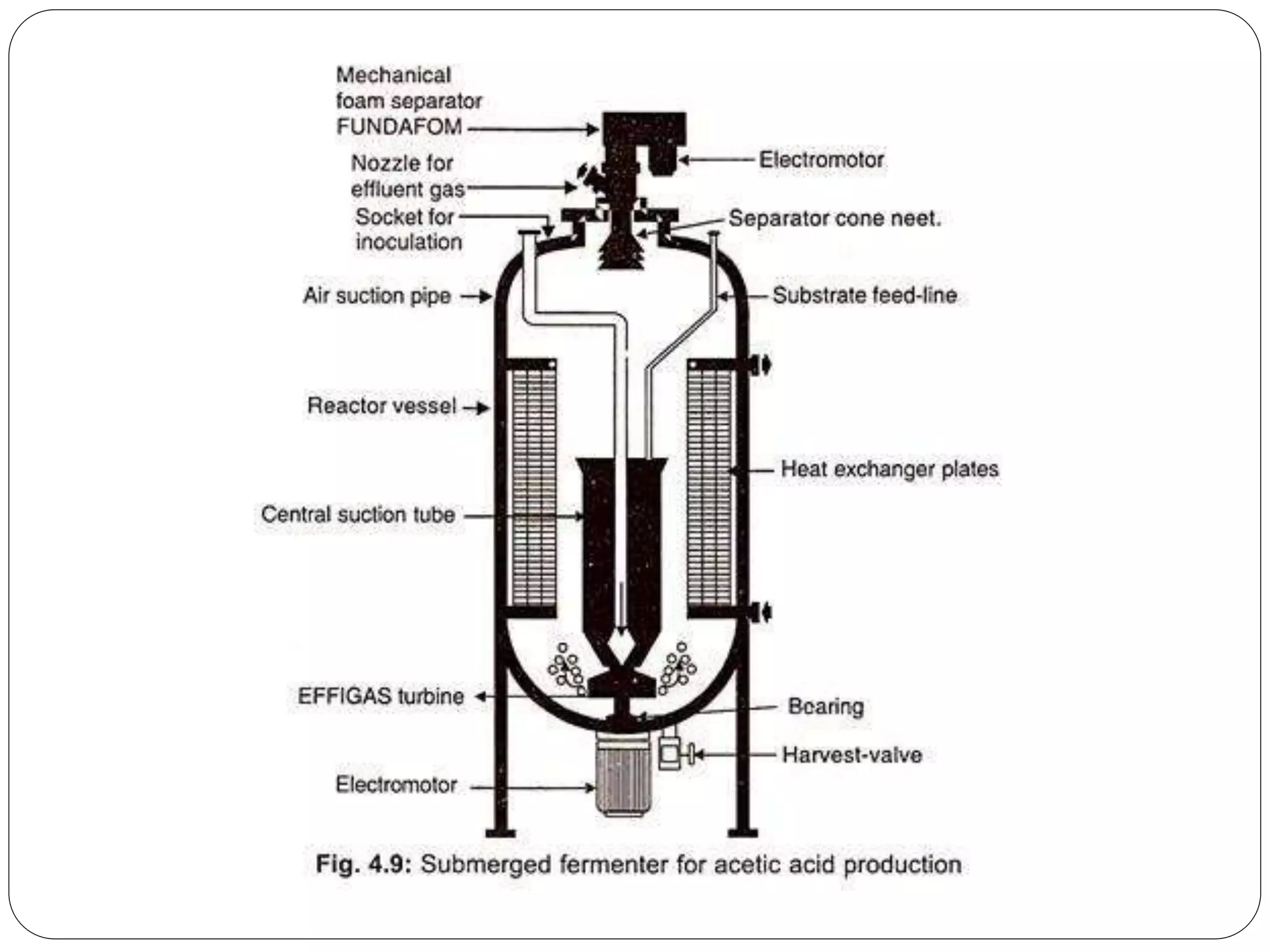 Acetic acid fermentation[1] | PPT