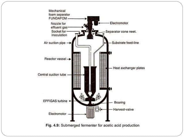 Acetic acid fermentation[1] | PPT