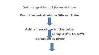Acetic acid production | PPTX