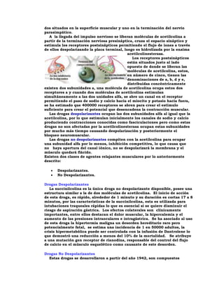 Acetil colina y sus receptores | DOCX