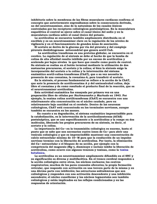 Acetil colina y sus receptores | DOCX
