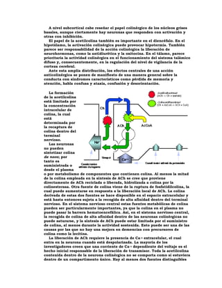 Acetil colina y sus receptores | DOCX