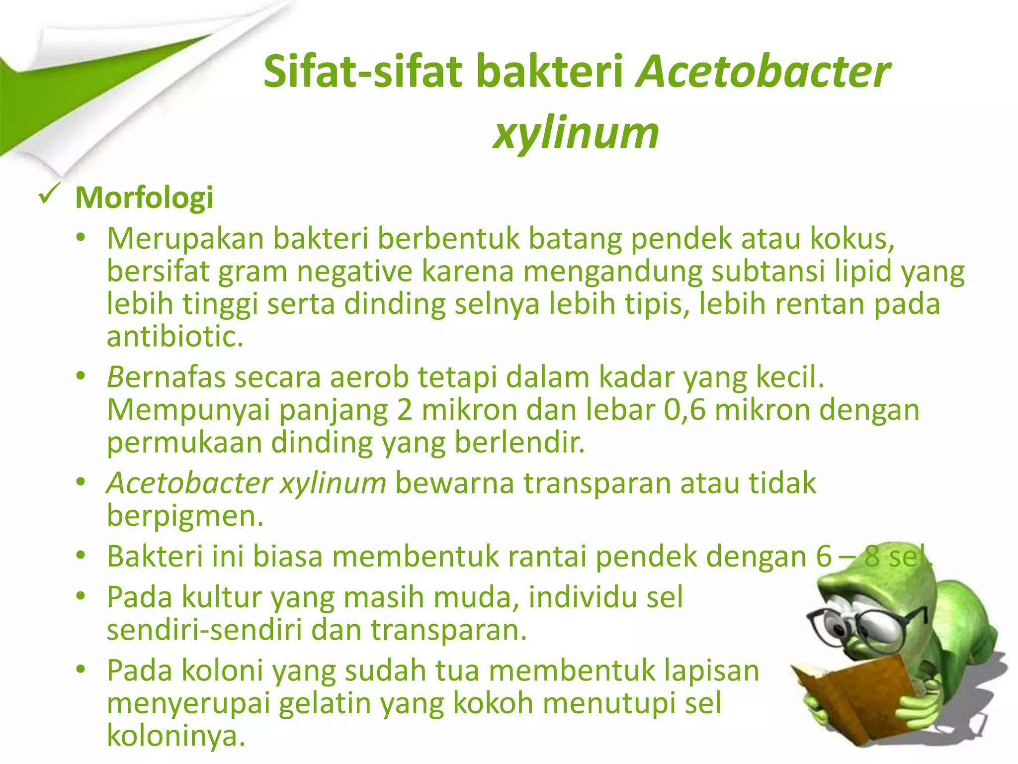 Acetobacter xylinum - Ainur Pujianti | PPTX