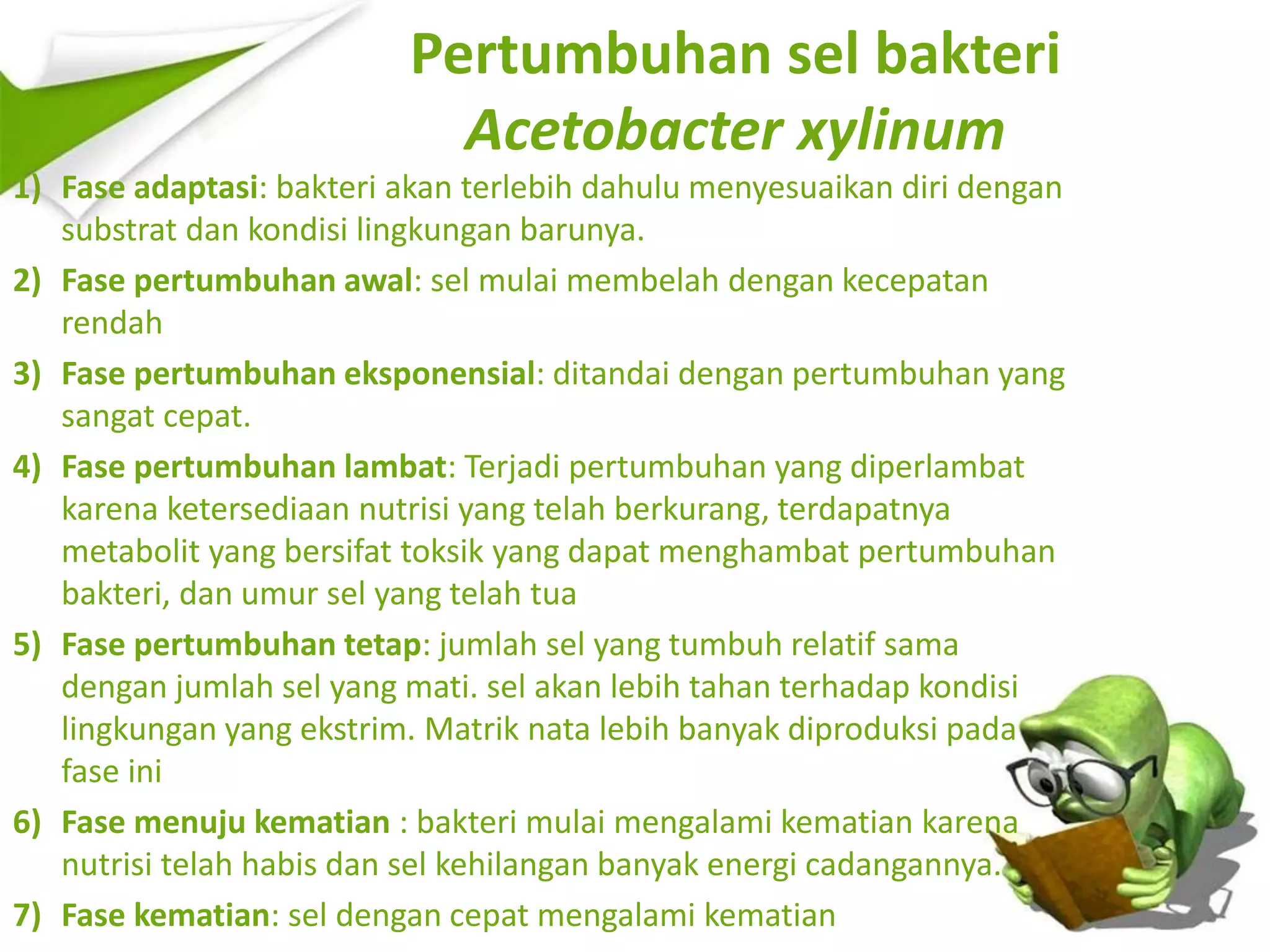 Acetobacter xylinum - Ainur Pujianti | PPTX