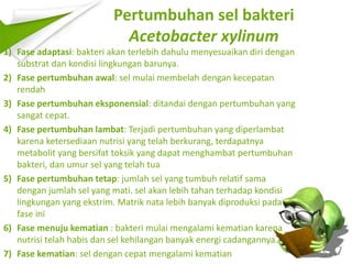 Acetobacter xylinum - Ainur Pujianti | PPTX
