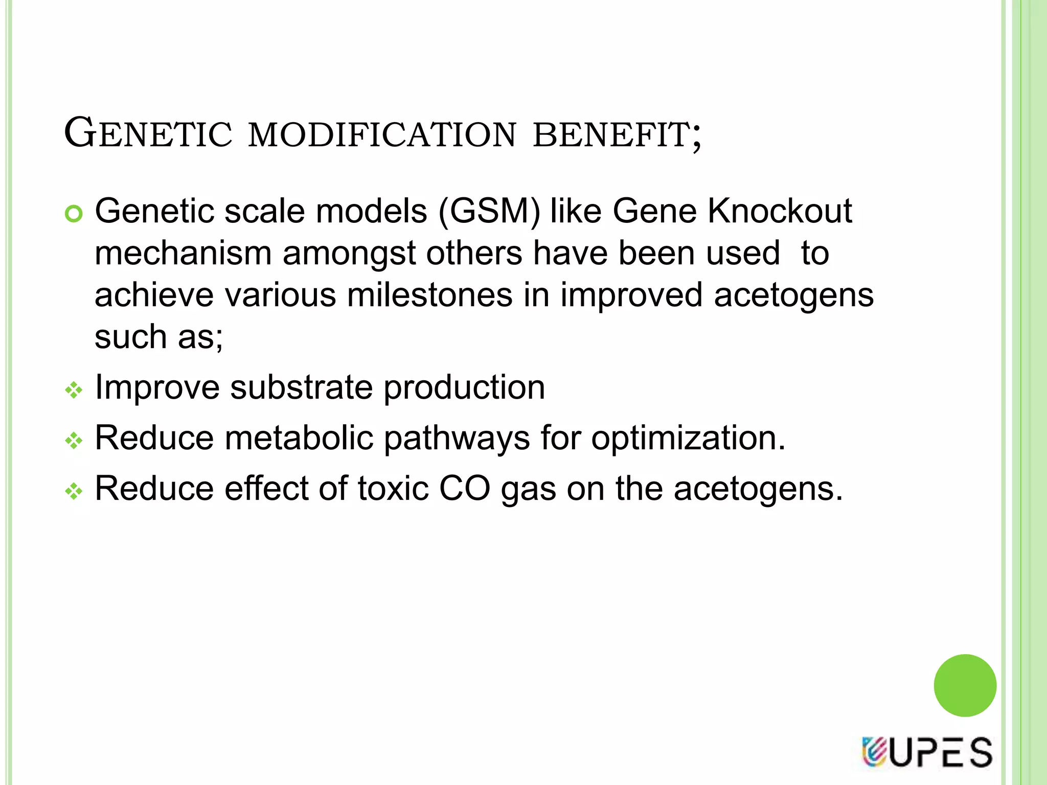 Acetogenic Bacteria.pptx