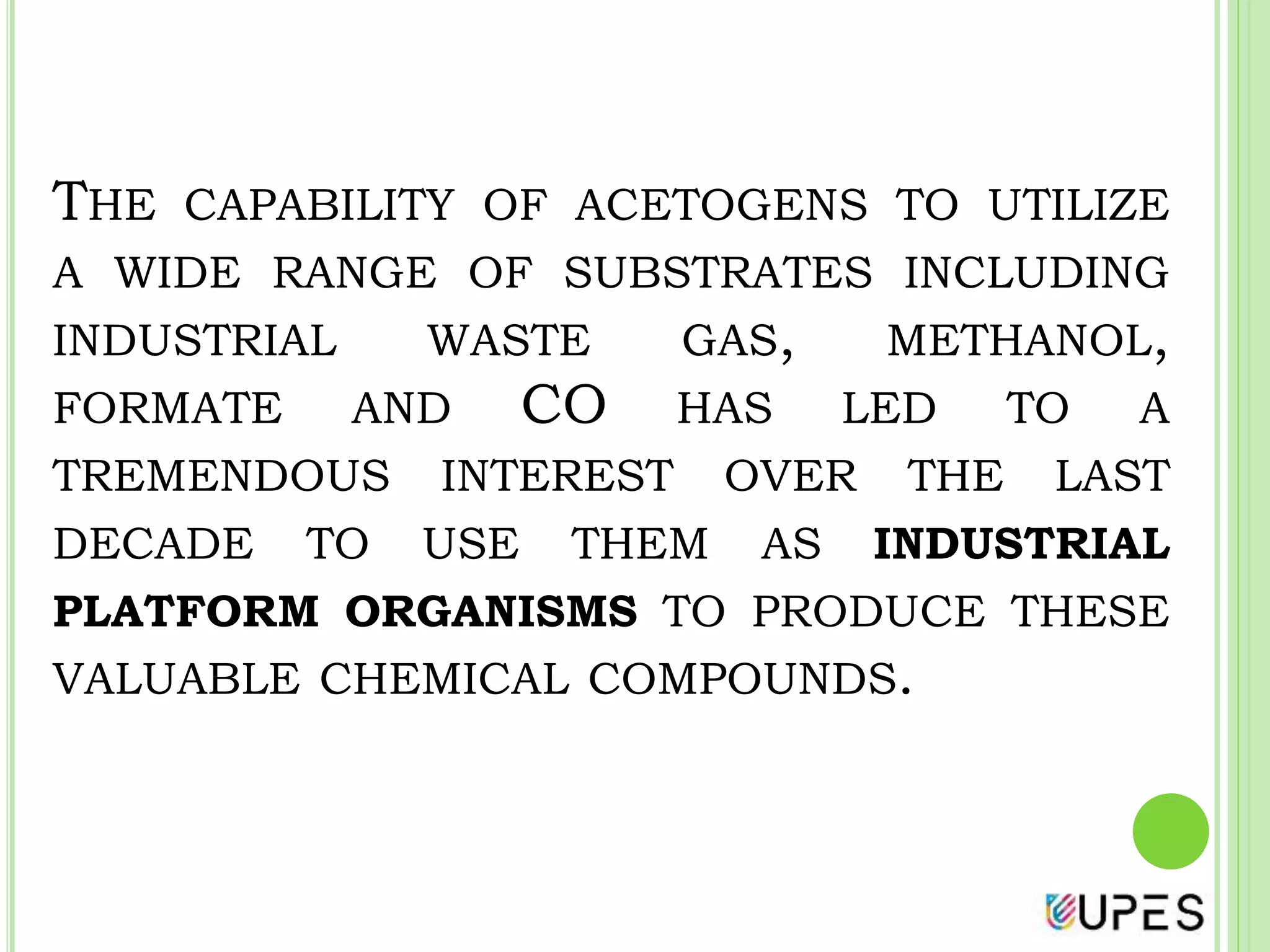 Acetogenic Bacteria.pptx