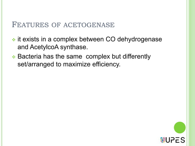 Acetogenic Bacteria.pptx