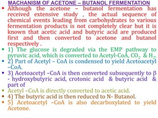 Acetone butanol production ppt | PPTX