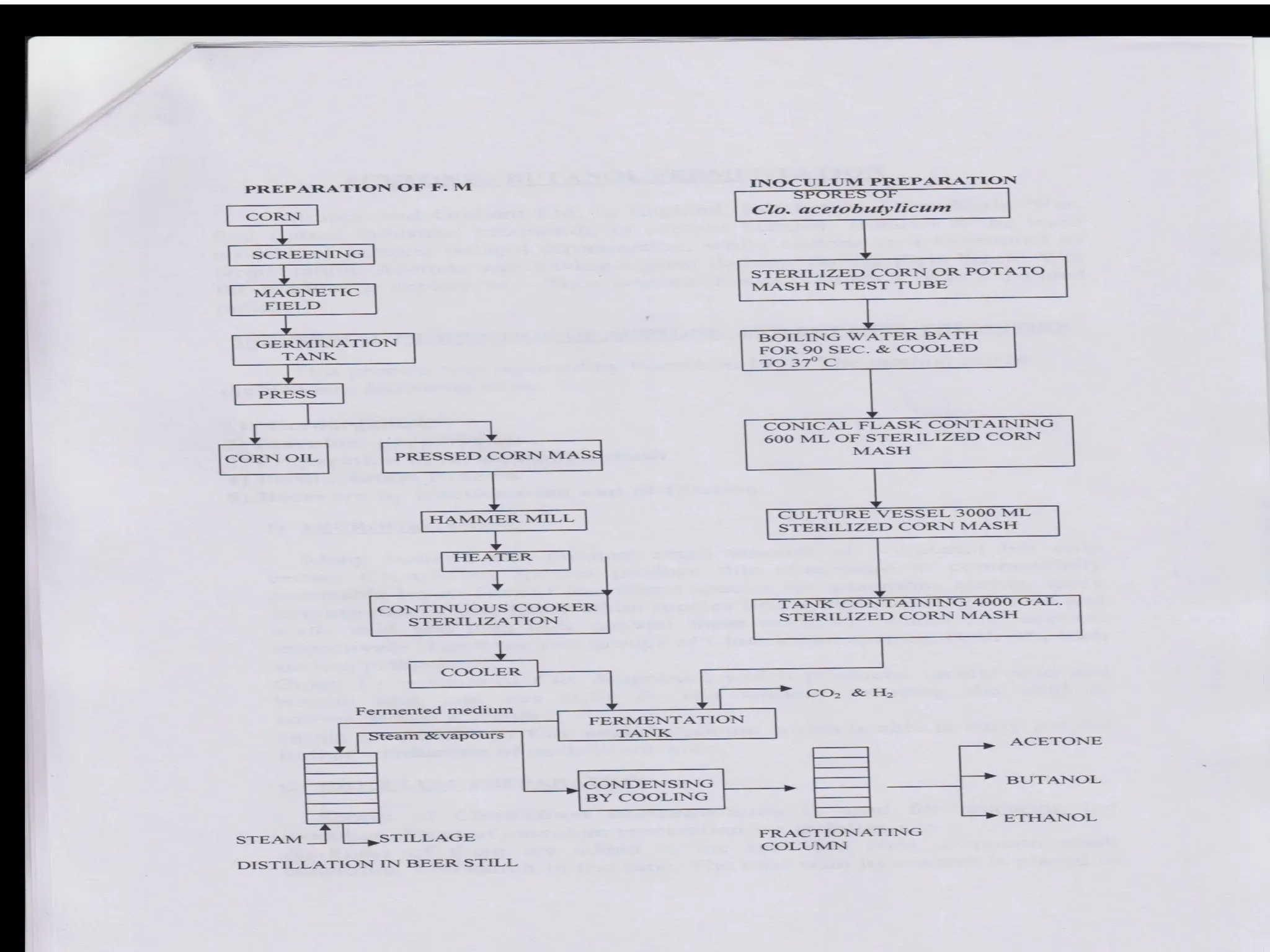 Acetone - Butanol Production in Biotechnology PPT.pptx