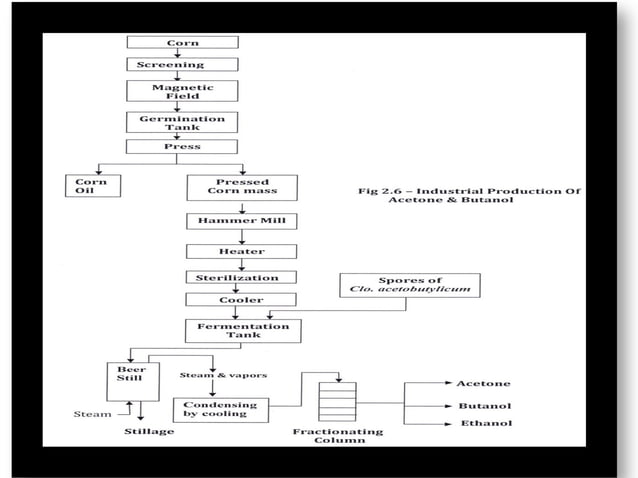 Acetone - Butanol Production in Biotechnology PPT.pptx