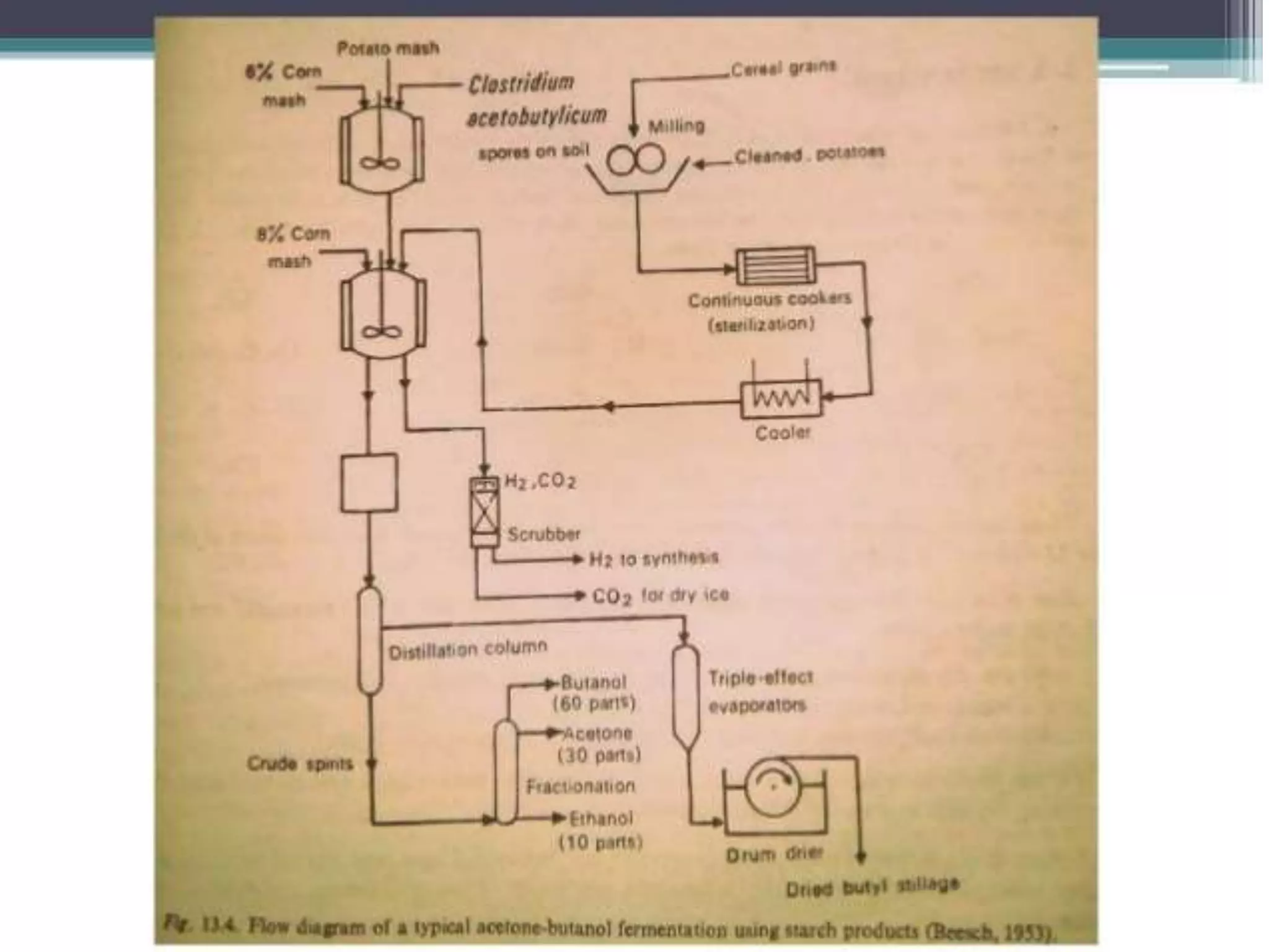 Acetone butanol fermentation | PPTX