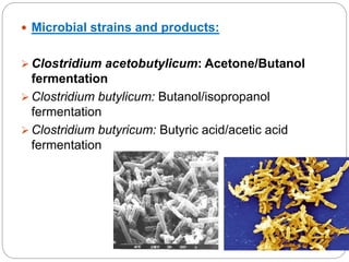 Acetone butanol fermentation | PPTX