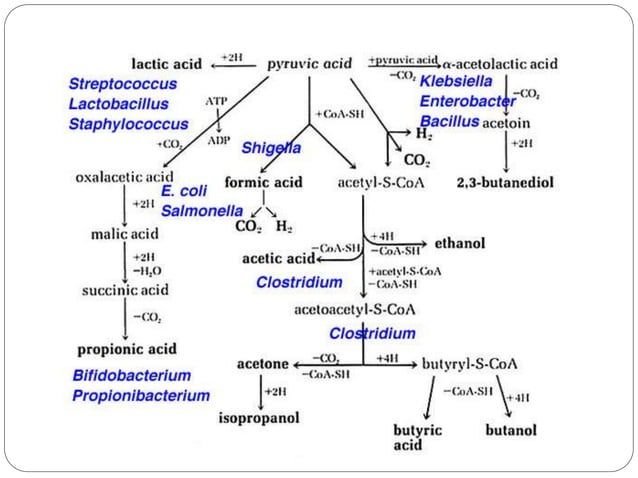 Acetone butanol fermentation | PPTX