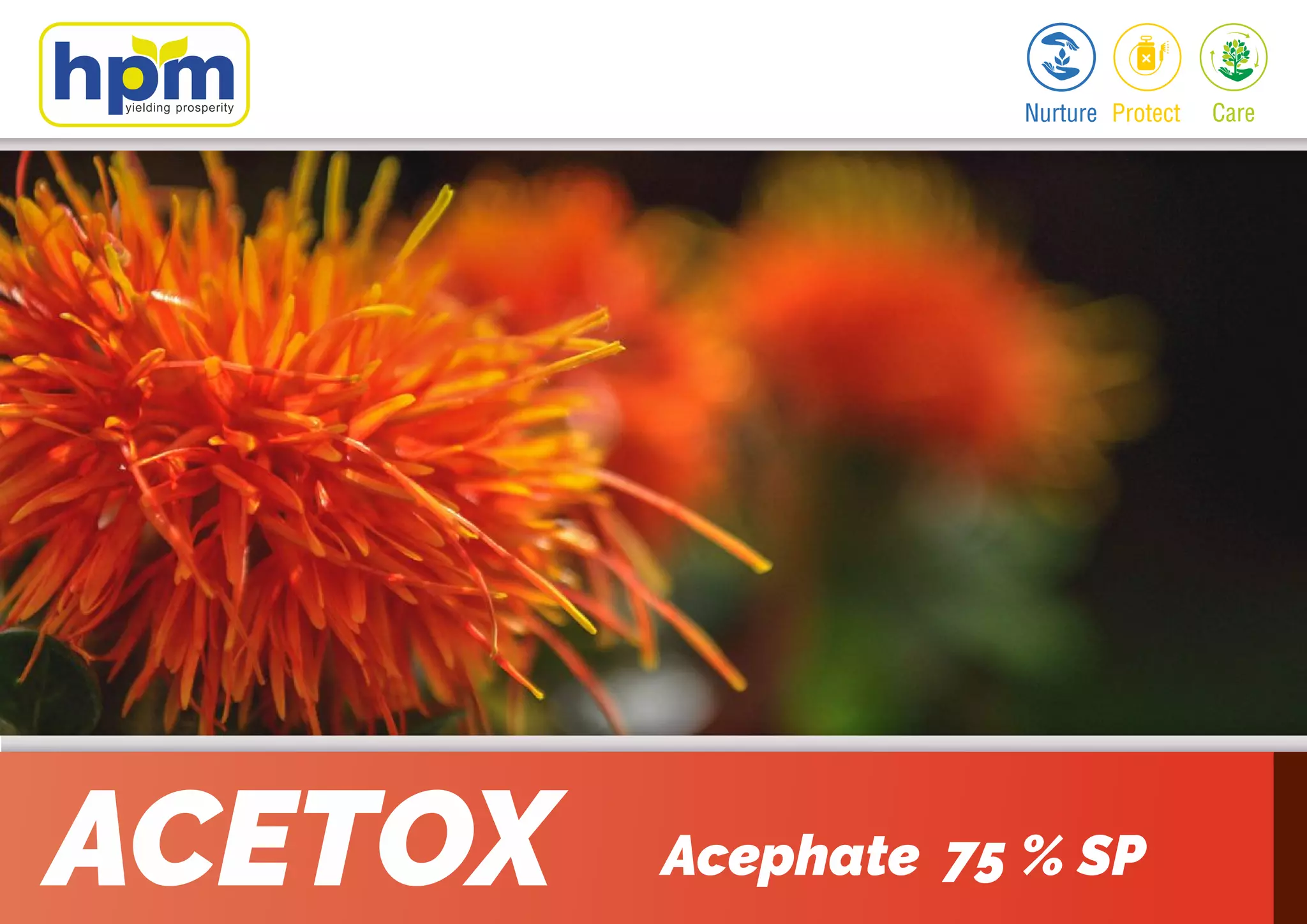 Acetox | PPT