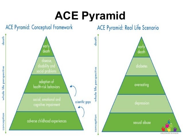 Ace Train the Trainer Presentation