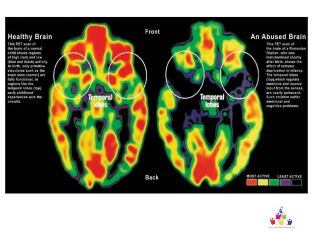 Ace Train the Trainer Presentation