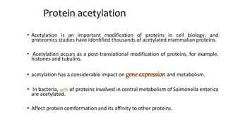 Acetylation | PPTX | Chemistry | Science