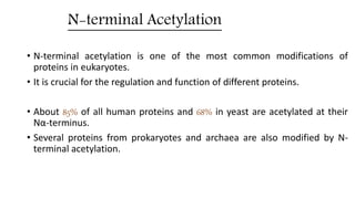 Acetylation | PPTX | Chemistry | Science