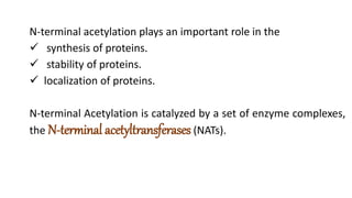 Acetylation | PPTX | Chemistry | Science