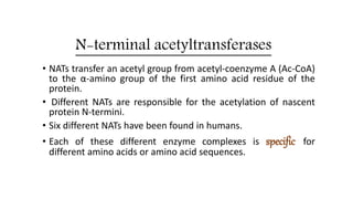 Acetylation | PPTX | Chemistry | Science