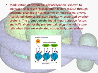 Histone Modification: Acetylation n Methylation | PPTX