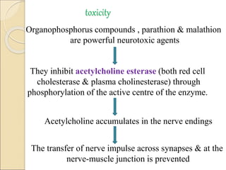 ACETYLCHOLINE.ppt