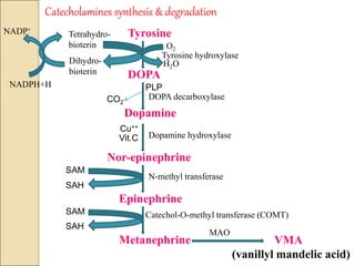 ACETYLCHOLINE.ppt