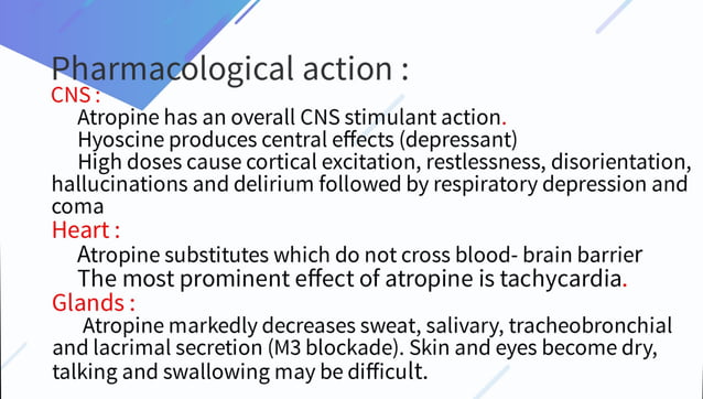 Acetylcholine Neurotransmitter | PPT