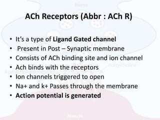 Biochemistry Aspect of Myaestenia Gravis | PPT