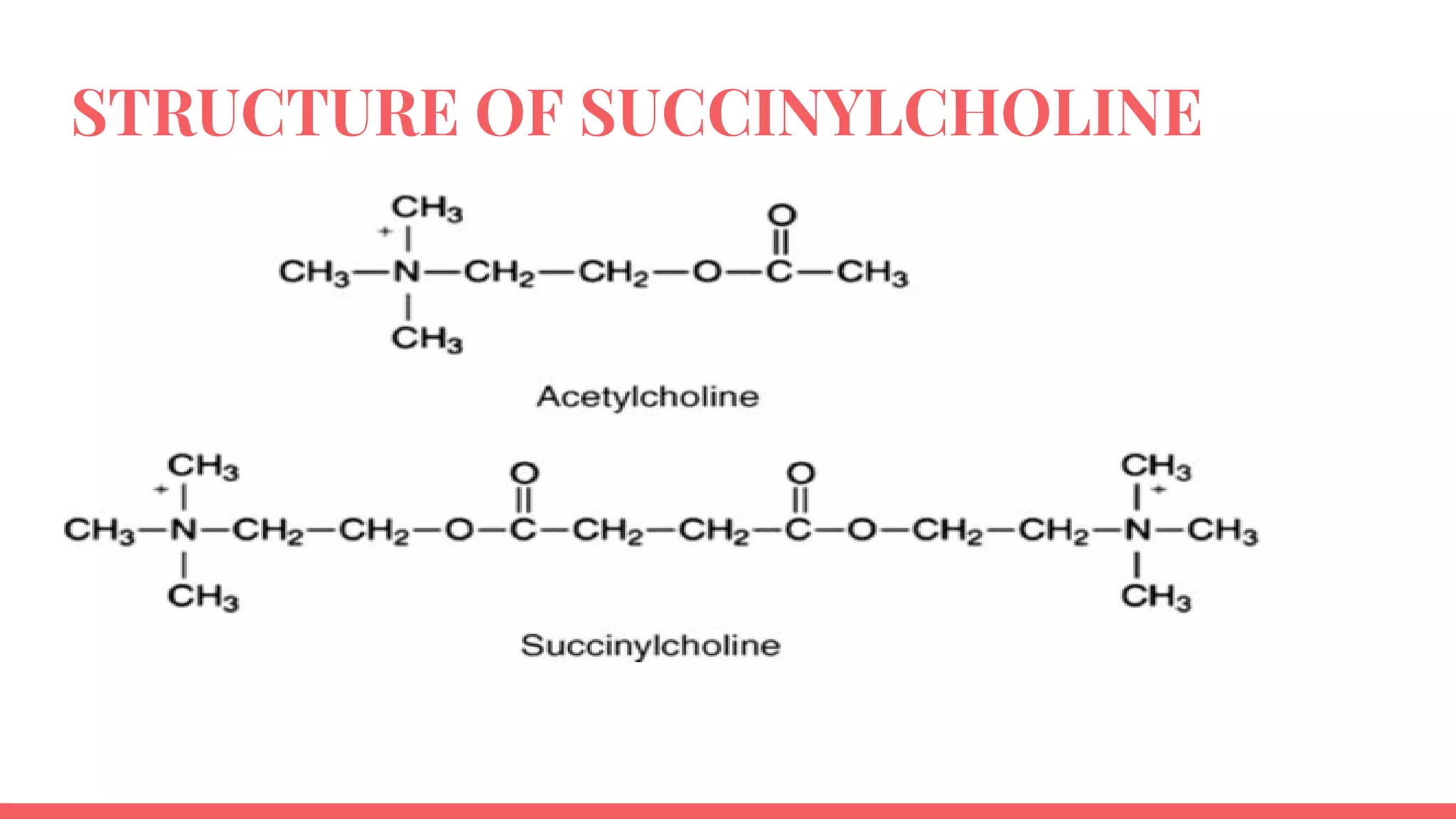 Acetylcholine and succinylcholine | PDF