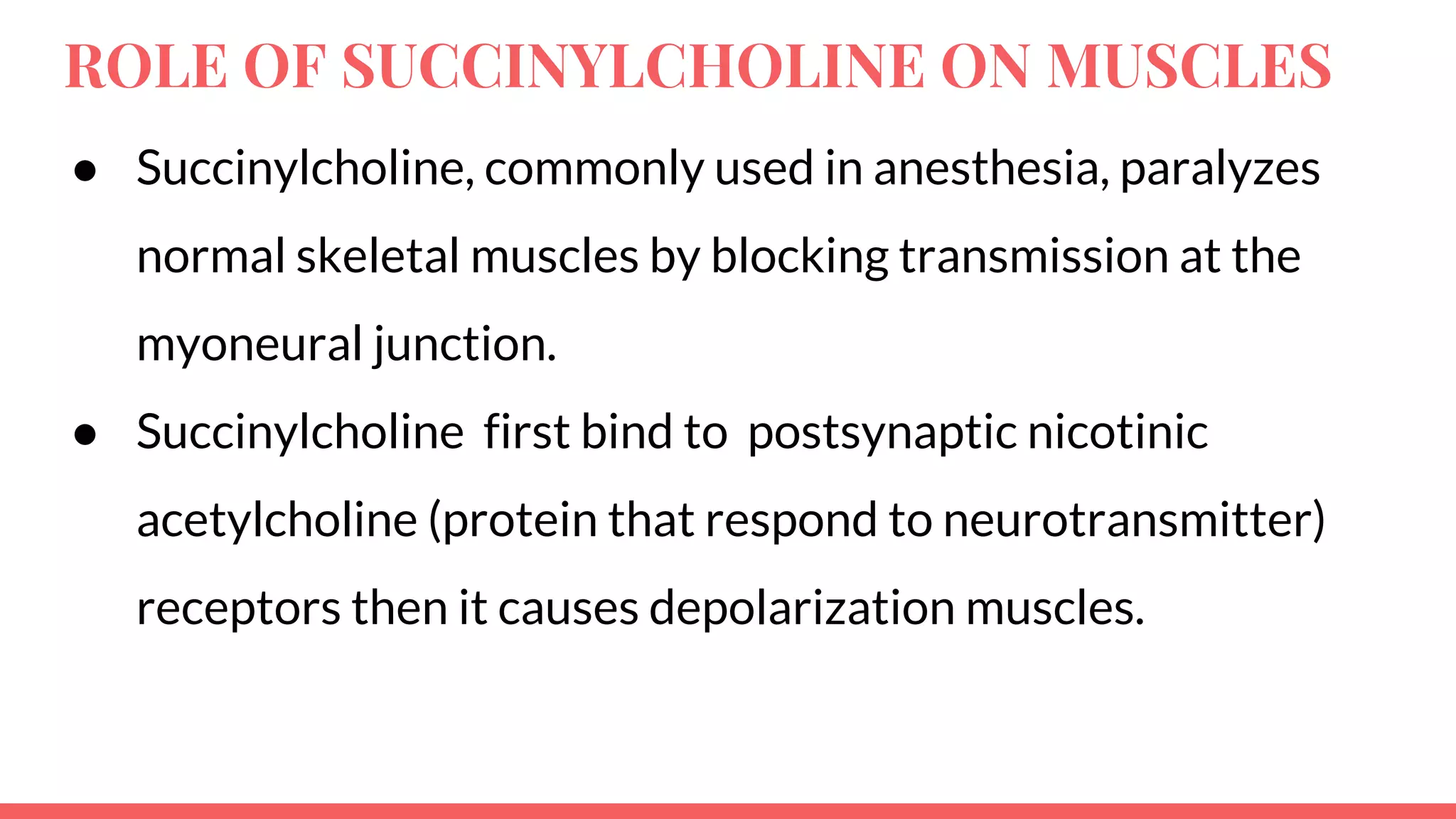Acetylcholine and succinylcholine | PDF