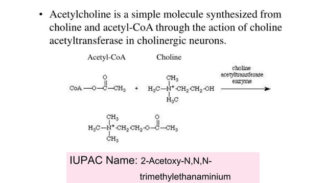 Acetylcholine and succinylcholine | PDF