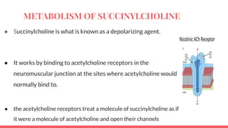 Succinylcholine Acetylcholine