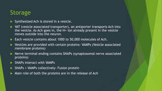 Acetylcholine ppt | PPTX