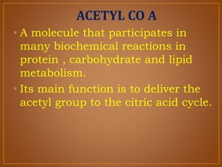 ACETYL CO A PRESENTATION (1).pptx