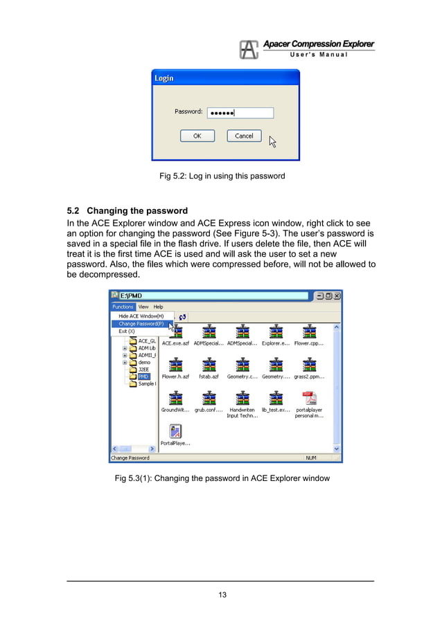 Ace user manual in english | PDF