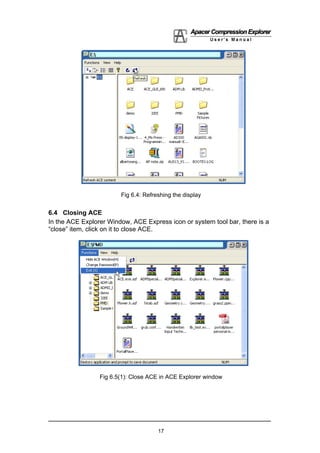 Ace user manual in english | PDF