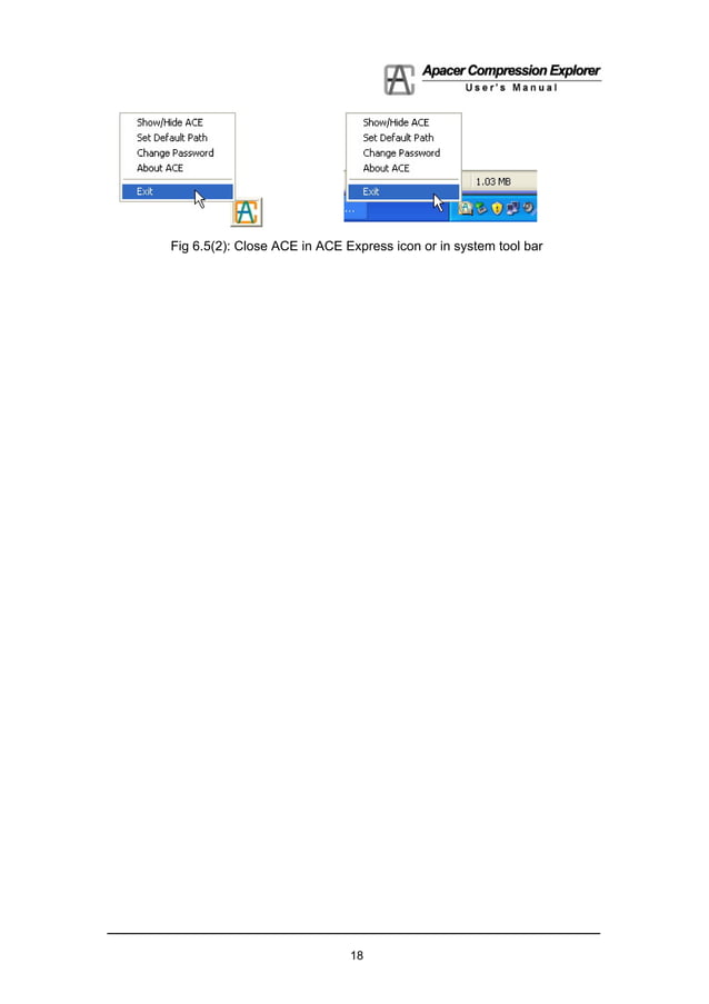 Ace user manual in english | PDF
